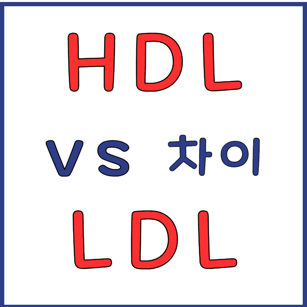 LDL HDL 차이 10초 만에 알아보기